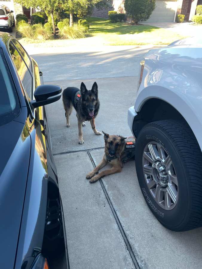 Drake & Joseph… and Porter! | The Rescue for PTSD