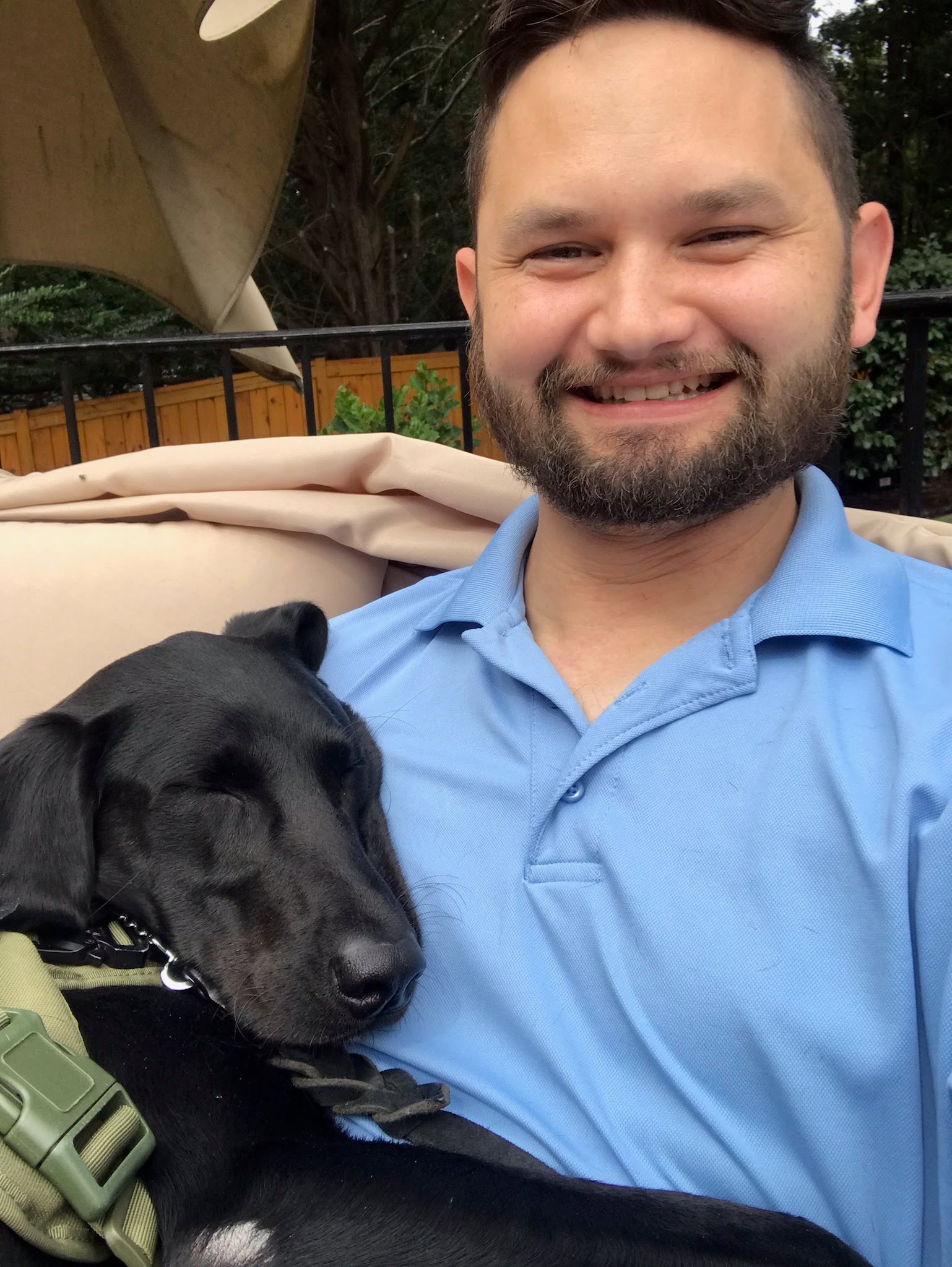 Service Dog Rules and Regulations | The Rescue for PTSD