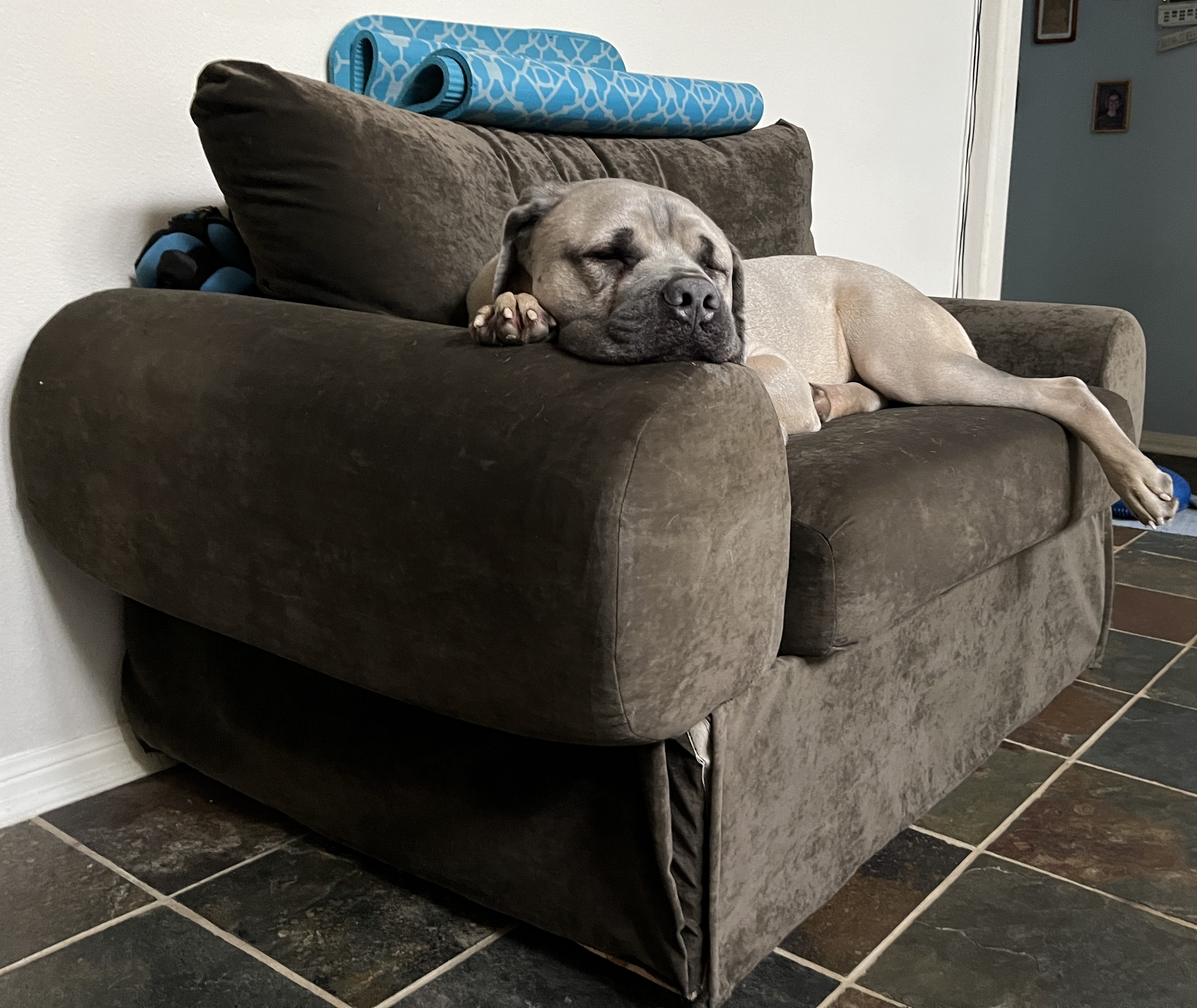 Enzo & Jeff | The Rescue for PTSD