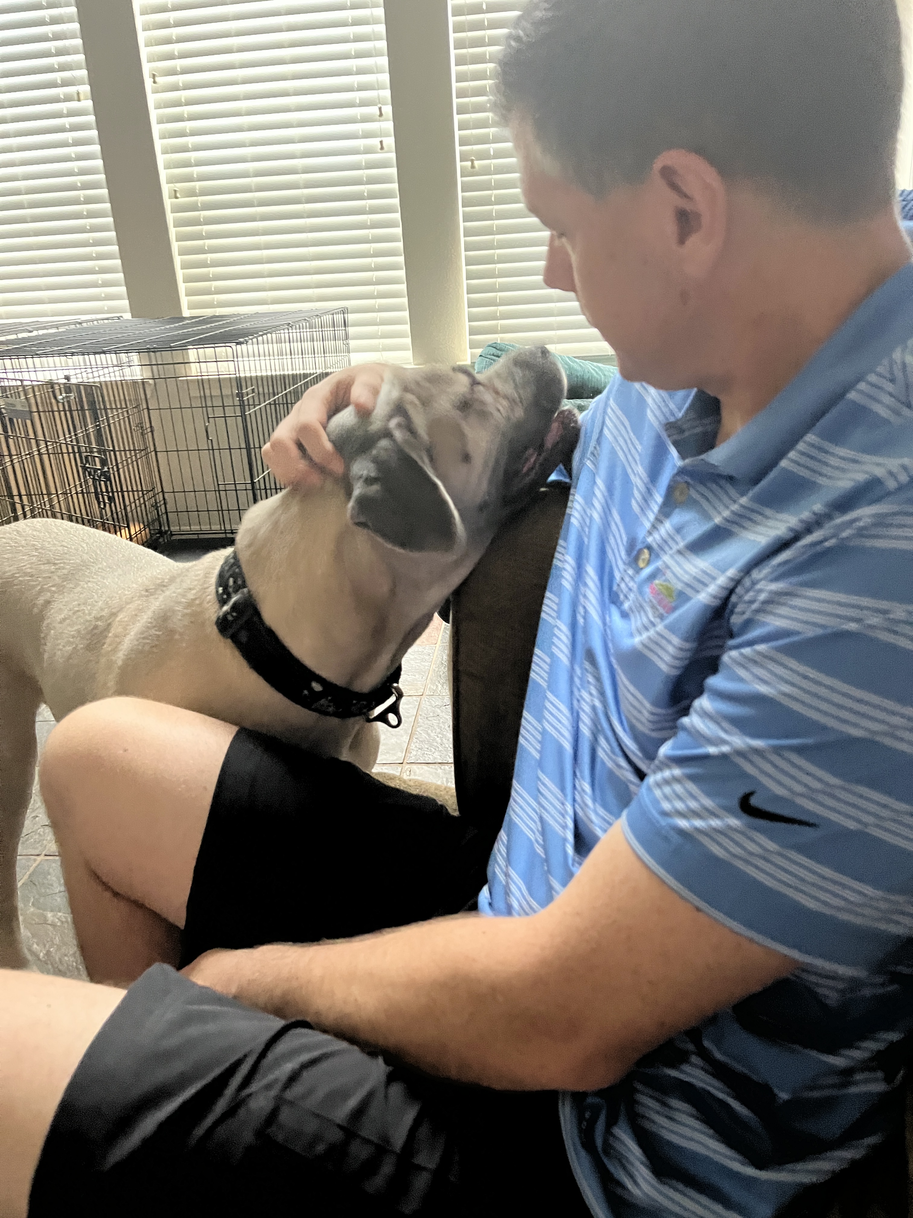 Enzo & Jeff | The Rescue for PTSD